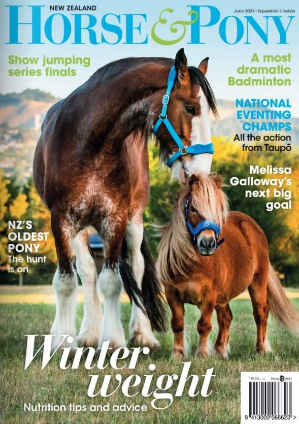 Shop - Subbuddy Subscriptions